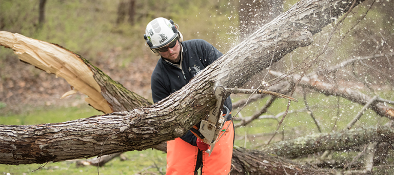 Injury Prevention Starts with PPE - Training and Workshops for ...