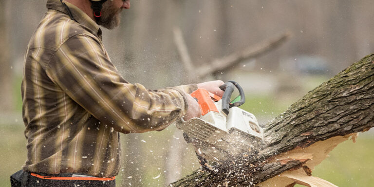 Chainsaw Training - Training and Workshops for Arborists | ACRT ...