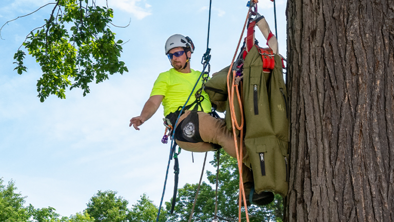Five-Minute Meeting: Aerial Rescue - Training and Workshops for ...