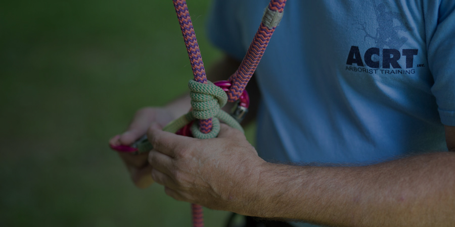 Training and Workshops for Arborists | ACRT Arborist Training